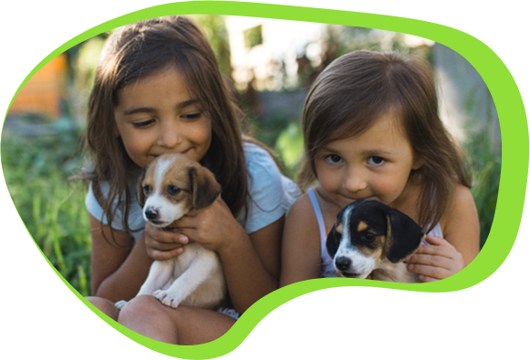 ¿Quién es mi mascota? – Red aeioTU