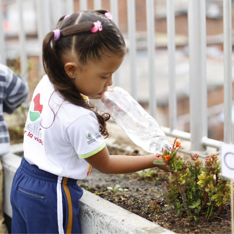 Formación - Red aeioTU