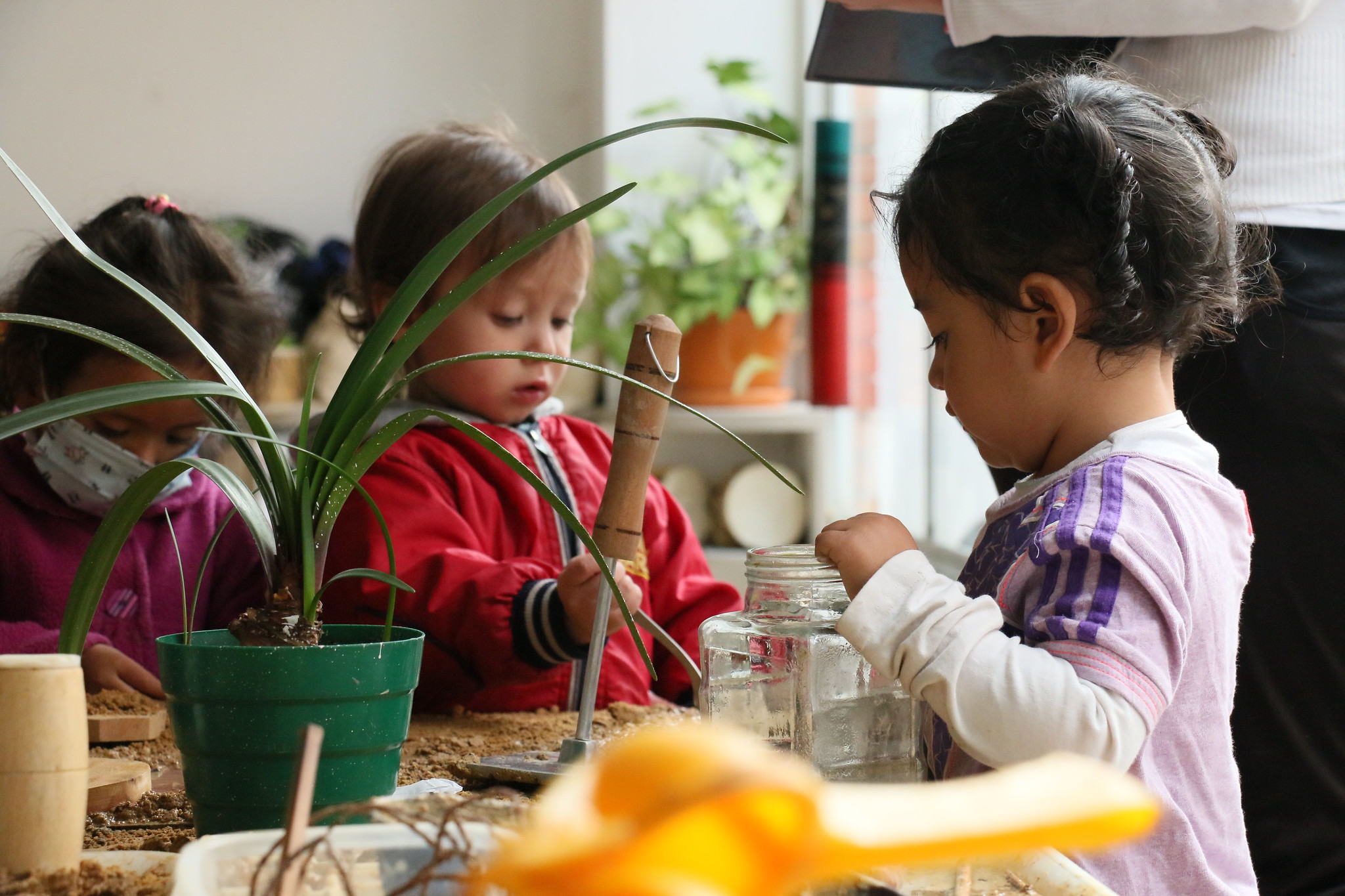 La exploración en los niños – Red aeioTU